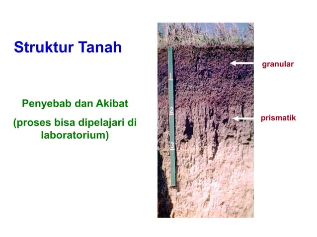 Materi 3 Morfologi dan Sifat Fisik Tanah | PDF