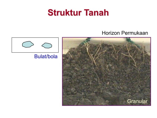 Materi 3 Morfologi dan Sifat Fisik Tanah | PDF
