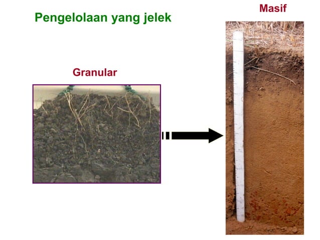 Materi 3 Morfologi dan Sifat Fisik Tanah | PDF