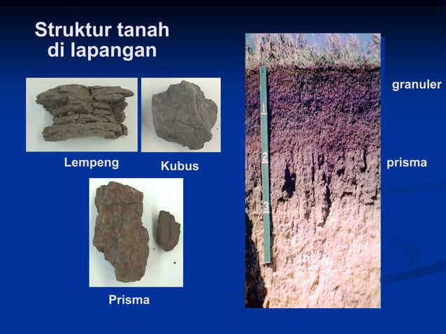 Materi 3 Morfologi dan Sifat Fisik Tanah | PDF
