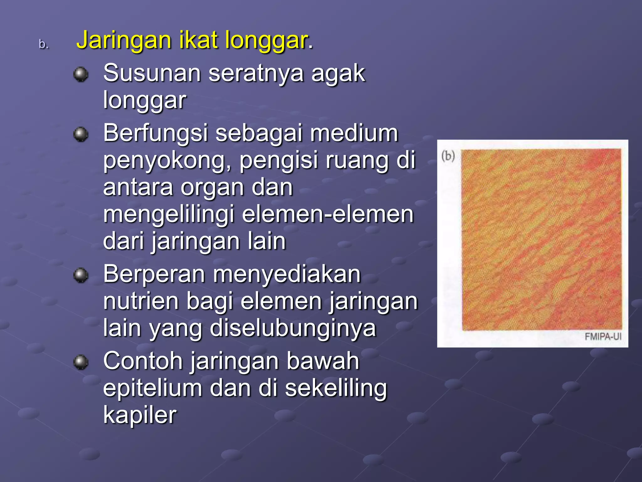 bab-3-struktur-dan-fungsi-jaringan-hewan.ppt
