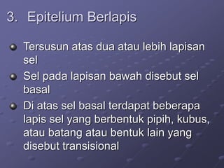 bab-3-struktur-dan-fungsi-jaringan-hewan.ppt