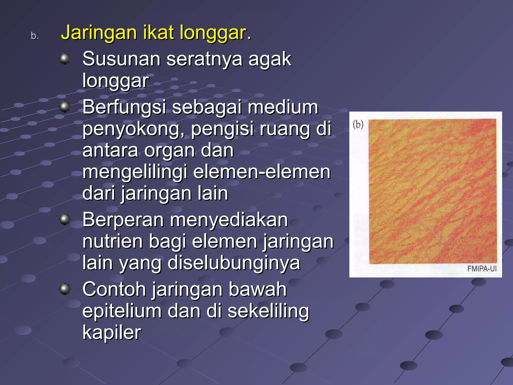 Struktur dan Fungsi Jaringan Hewan | PPT