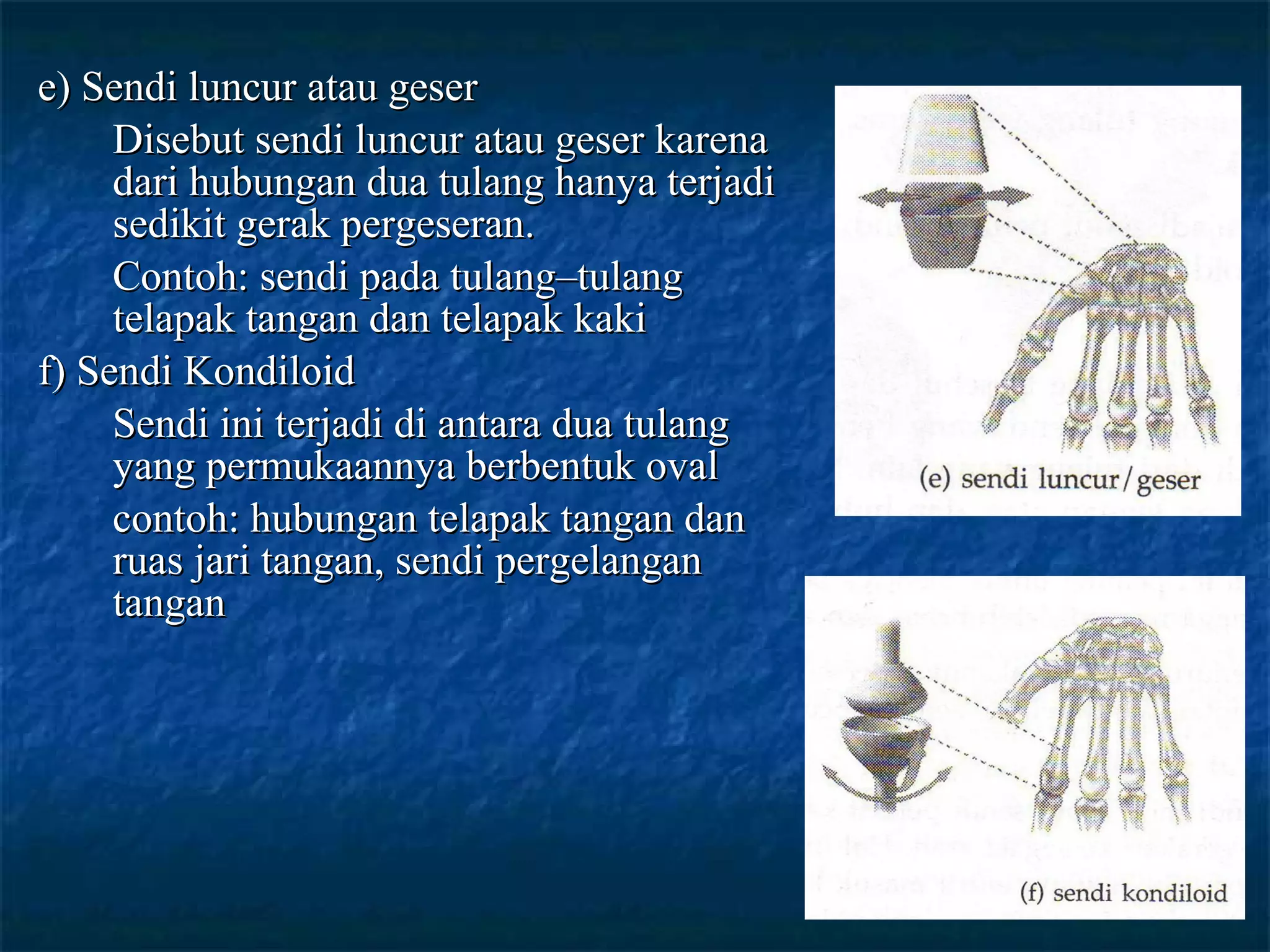 SISTEM GERAK PADA MANUSIA | PPT