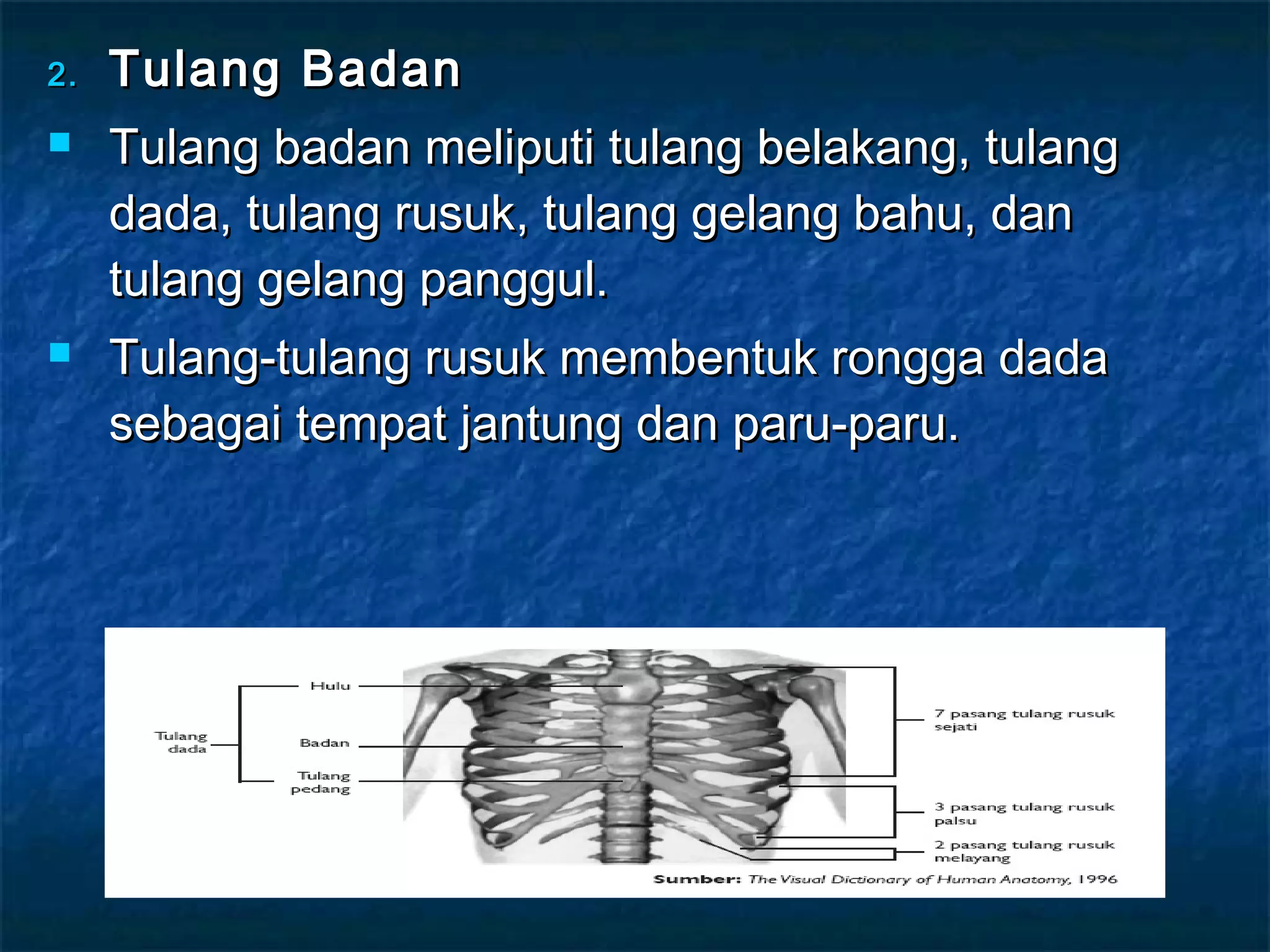 SISTEM GERAK PADA MANUSIA | PPT