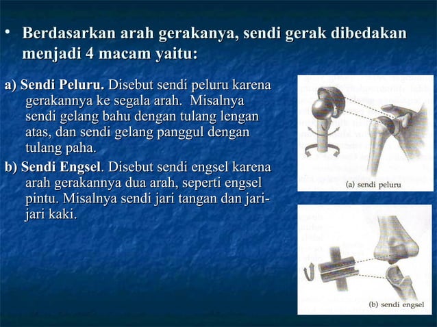 SISTEM GERAK PADA MANUSIA | PPT