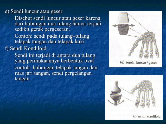 SISTEM GERAK PADA MANUSIA | PPT