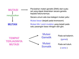 mutasi genetik biologi sma kelas xii semester 2 | PPT