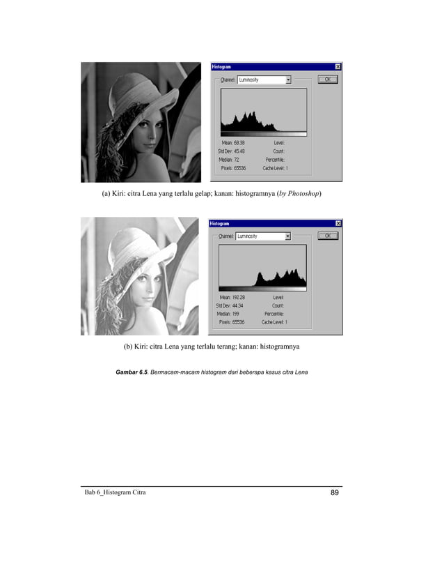 Bab 6 histogram citra | PDF