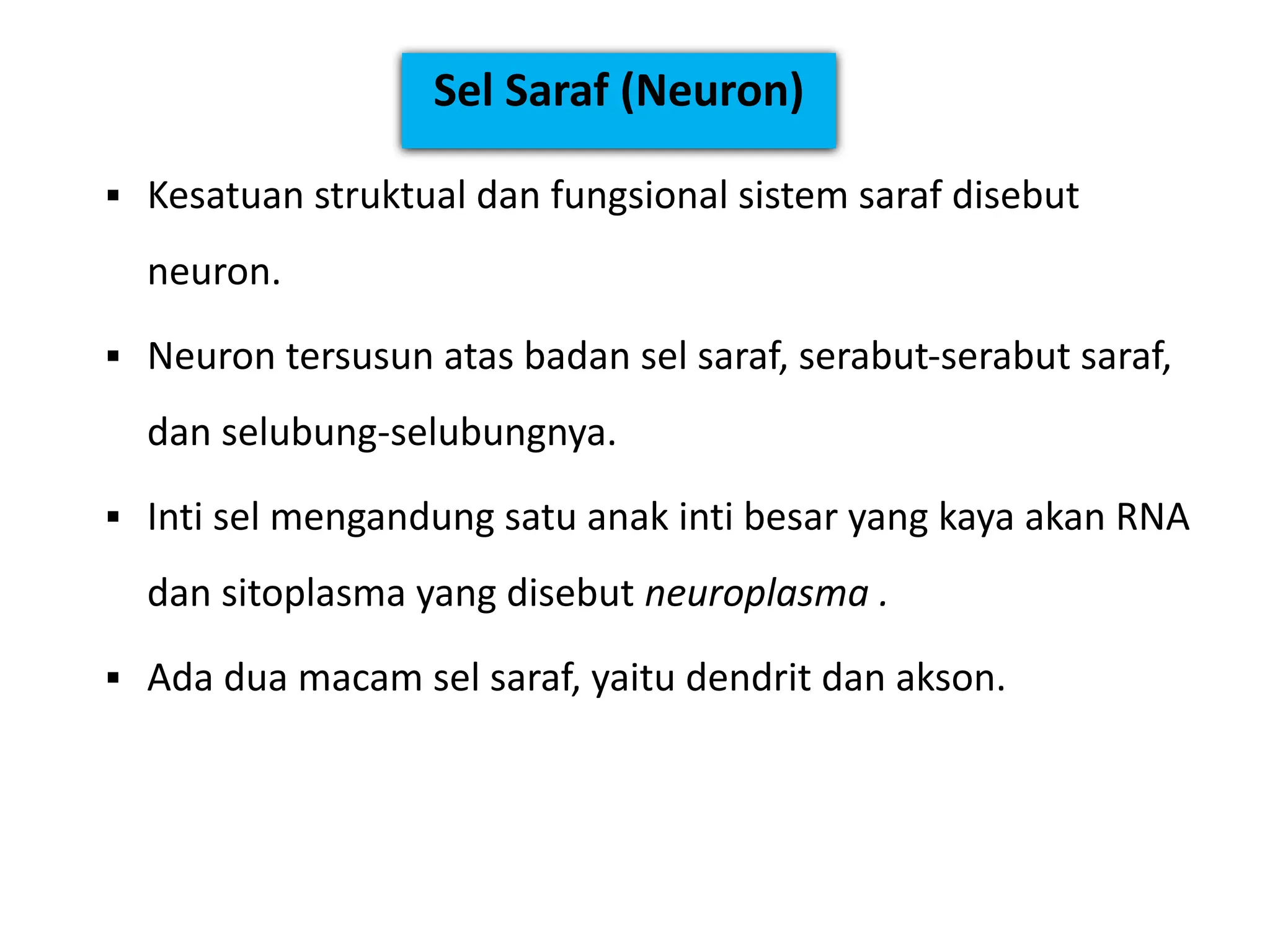 Bab-8-Sistem-Regulasi-Manusiaaa.pptx.pdf