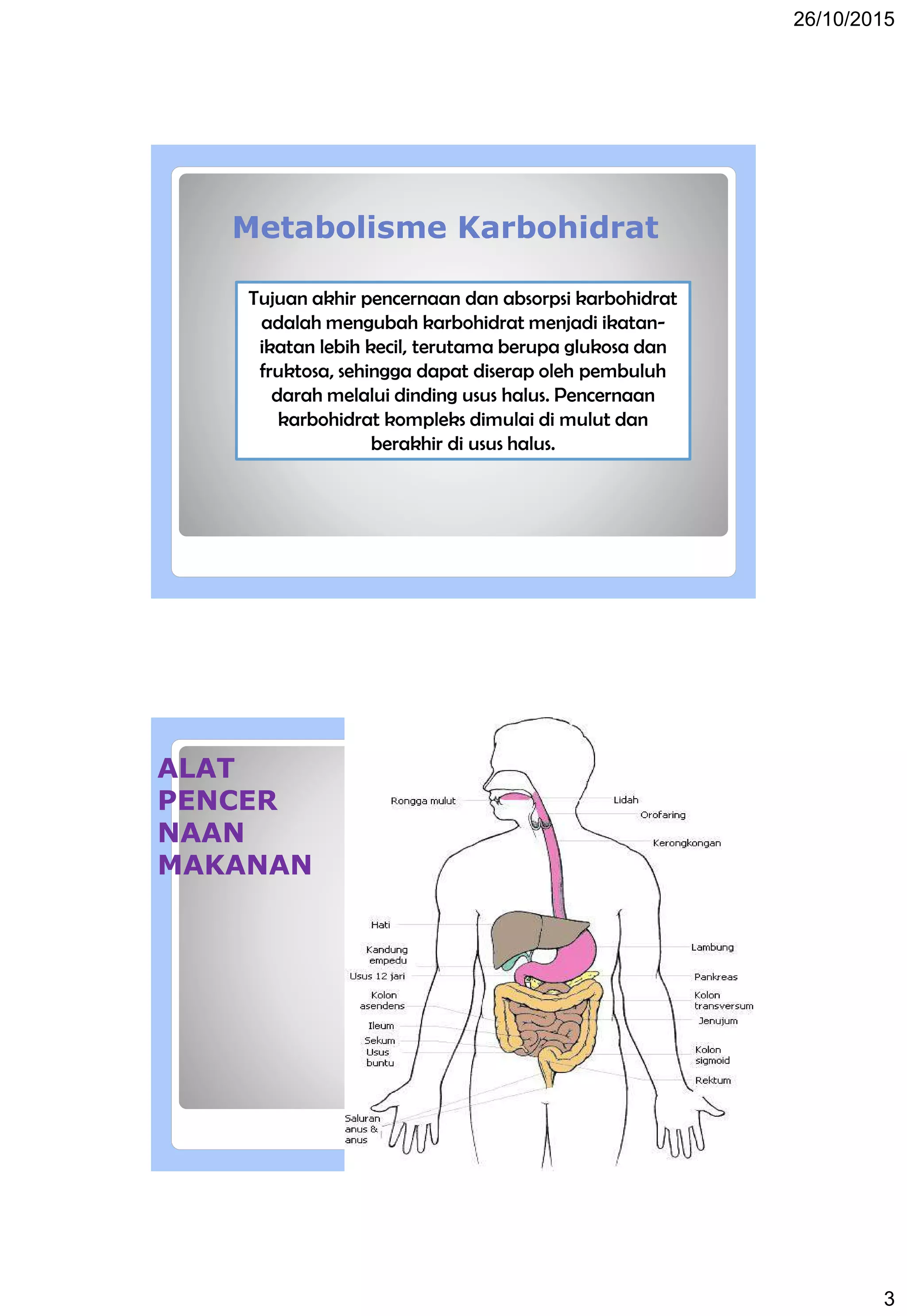 metabolisme karbohidrat | PDF