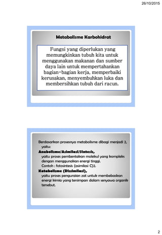 metabolisme karbohidrat | PDF