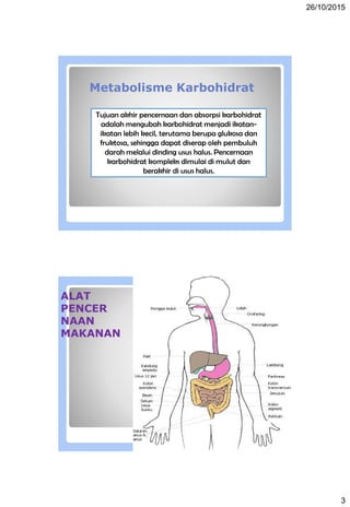 metabolisme karbohidrat | PDF