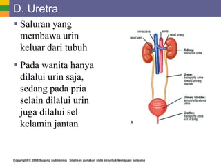 bab-sistem-ekskresi-manusia-lengkap.ppt