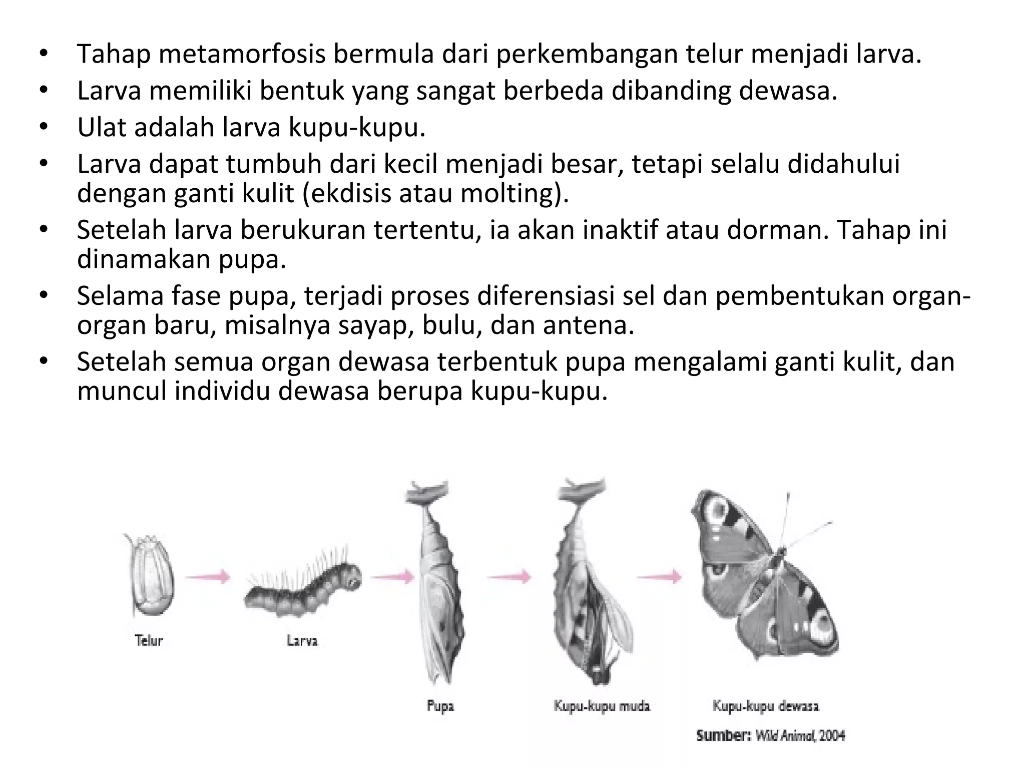Biologi kelas XII IPA | PPT