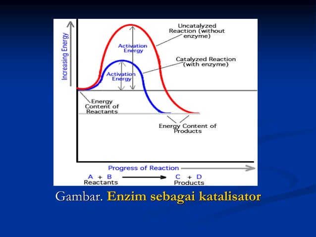 BAB 02 METABOLISME BIOLOGI KELAS 12 .pdf