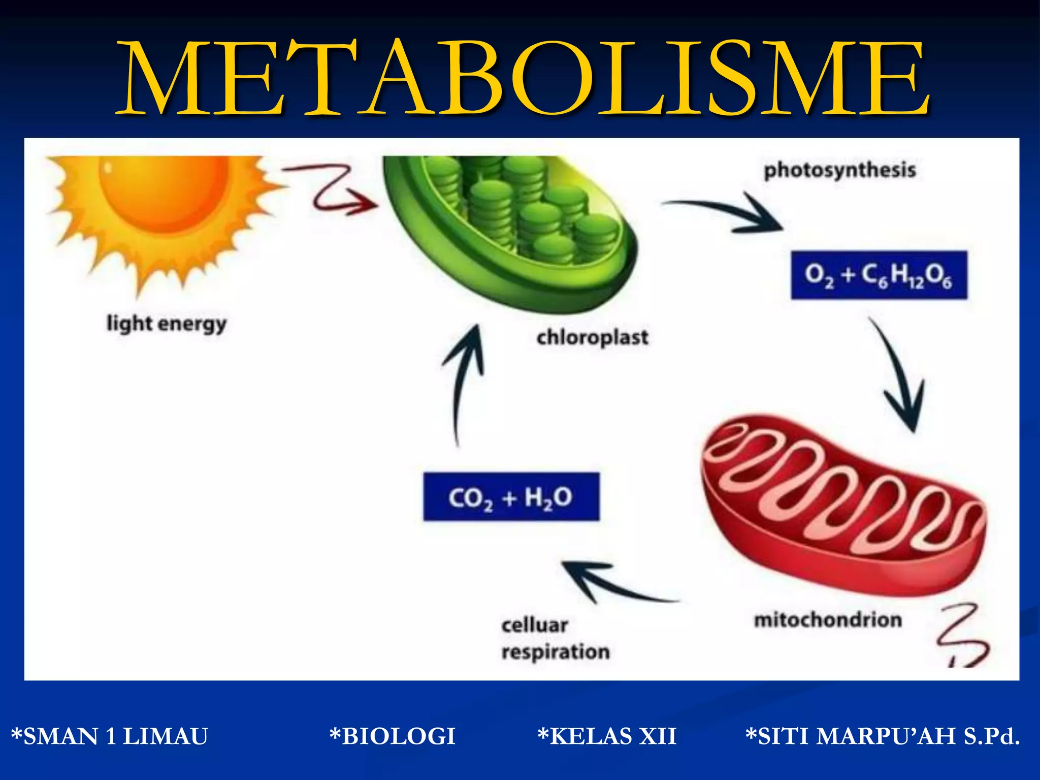 BAB_02_METABOLISME_kelas_12_pelajaran_bi.ppt