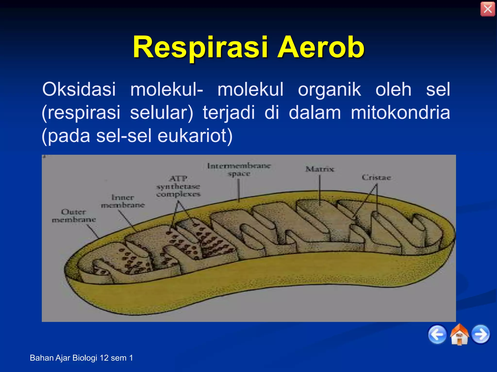 BAB_02_METABOLISME_kelas_12_pelajaran_bi.ppt
