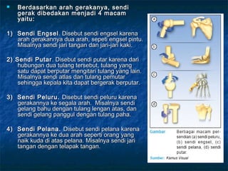 Bab 02 sistem gerak pada manusia | PPT