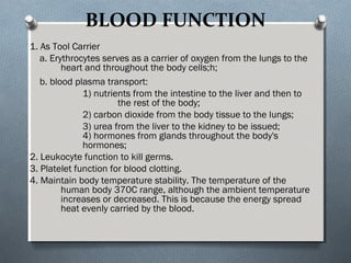 Blood Circulatory System in Human Body | PPT