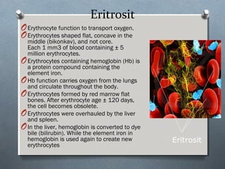 Blood Circulatory System in Human Body | PPT