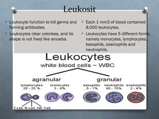 Blood Circulatory System in Human Body | PPT
