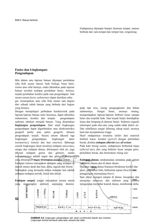 Sedimentary Rocks | DOC