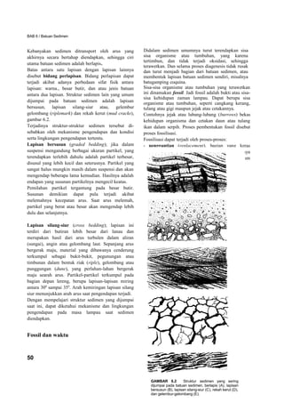 Sedimentary Rocks | DOC