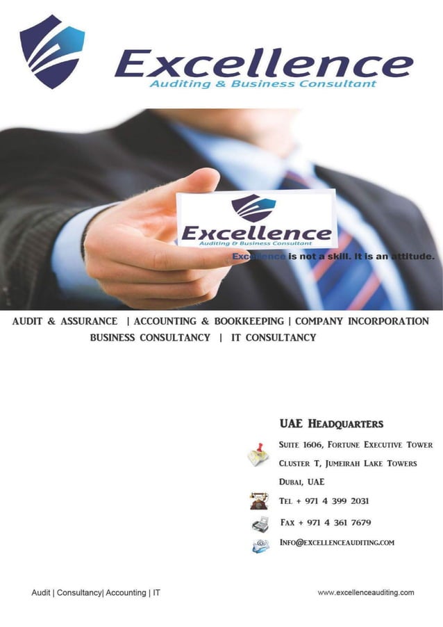 Excellence Company Profile | PDF