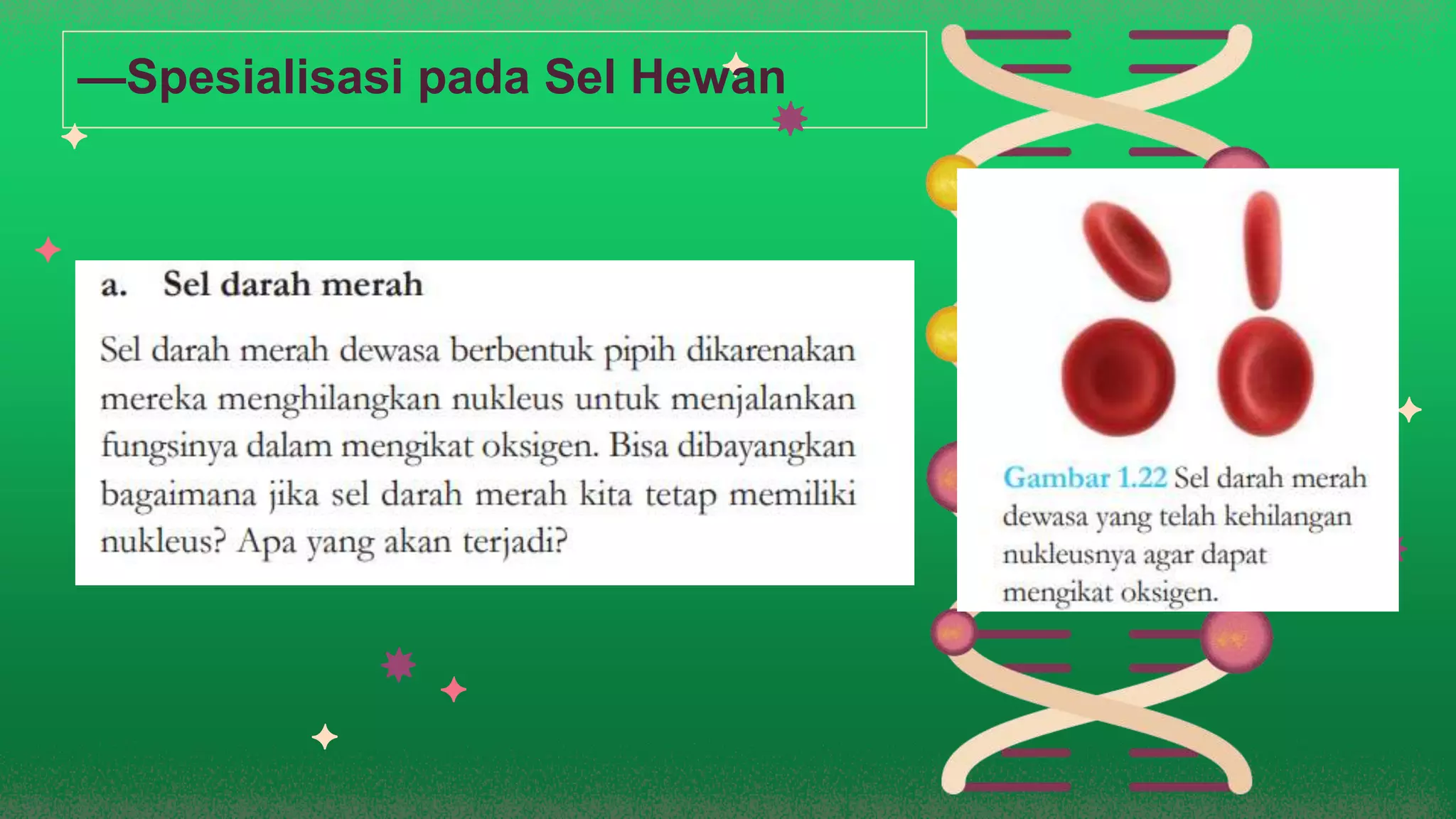 Bab 1. Pengenalan Sel IPA Kelas 8 SMP Ibrahimy 1 Sukorejo Kurikulum Merdeka | PPTX