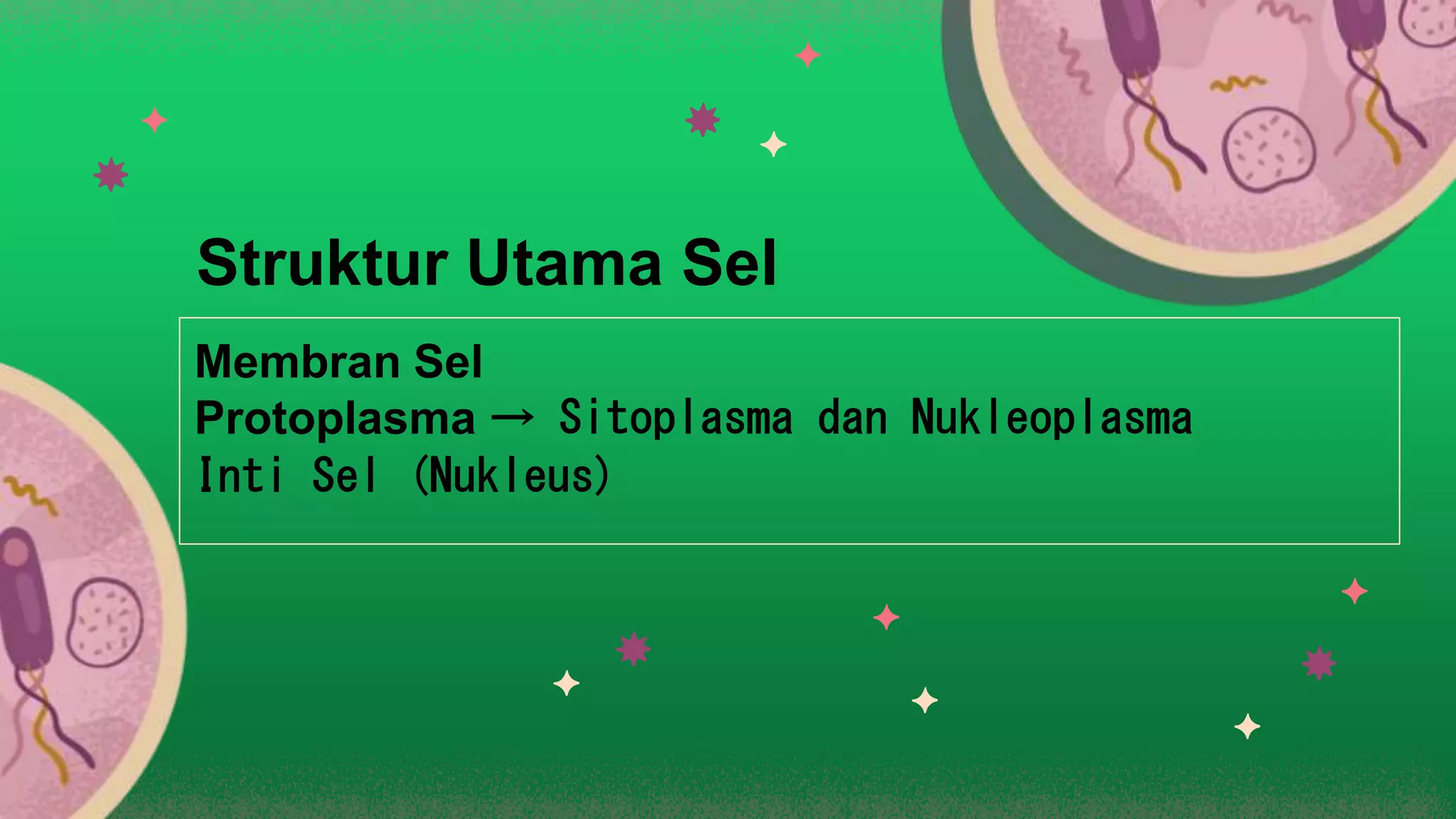 Bab 1. Pengenalan Sel IPA Kelas 8 SMP Ibrahimy 1 Sukorejo Kurikulum ...