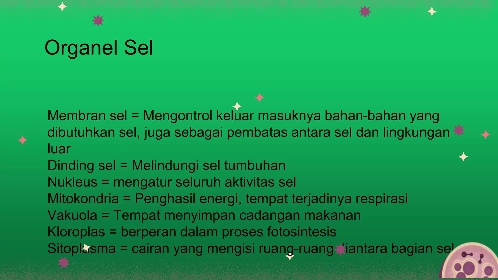 Bab 1. Pengenalan Sel IPA Kelas 8 SMP Ibrahimy 1 Sukorejo Kurikulum ...