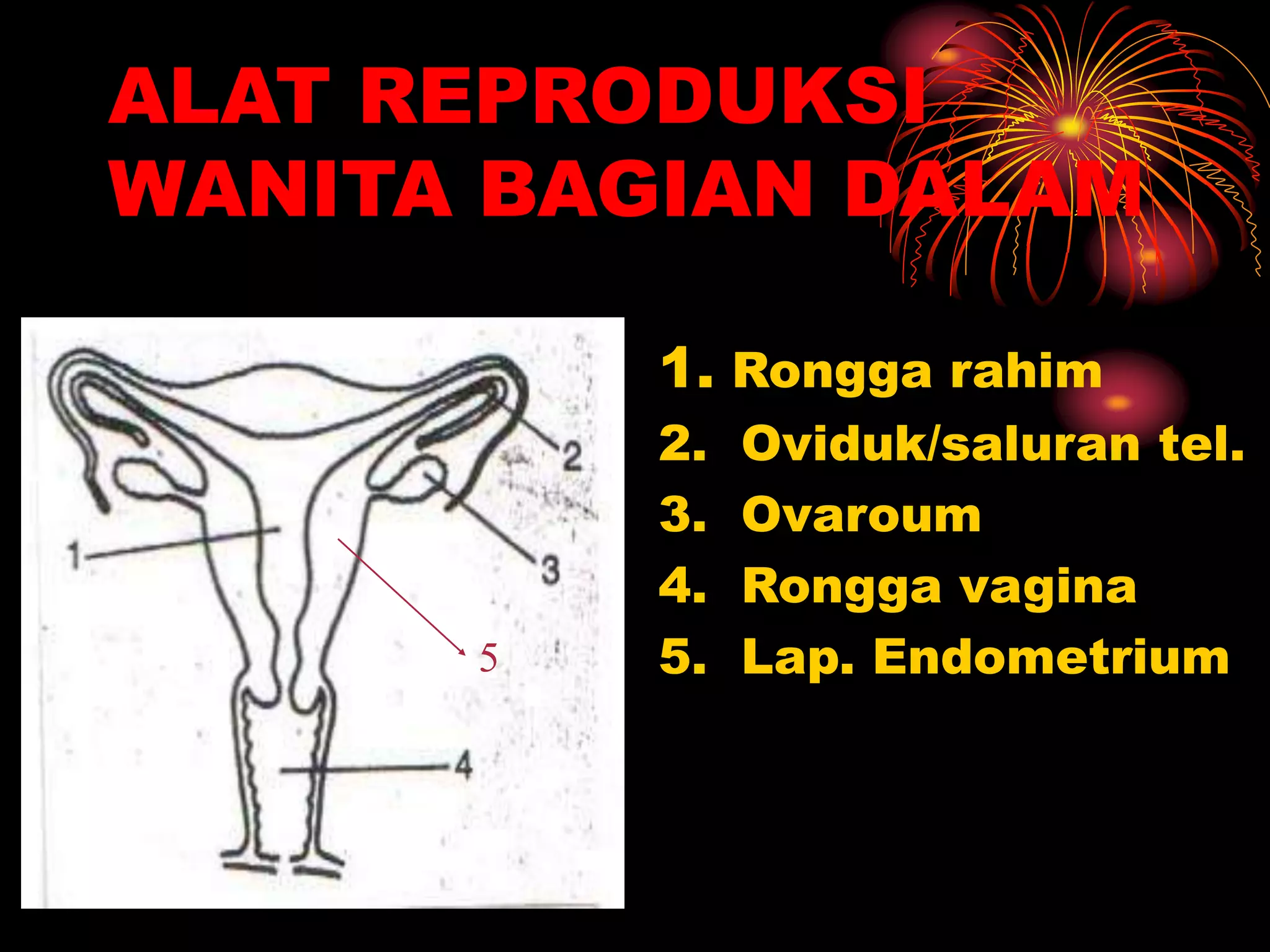 reproduksi makhluk hidup | PPT