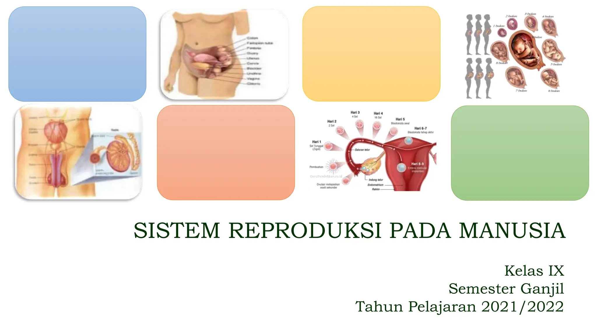 BAB 1. Sistem Reproduksi Manusia (1).pptx