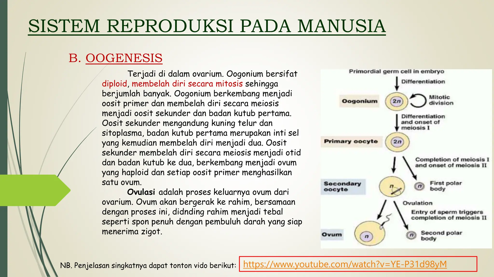 BAB 1. Sistem Reproduksi Manusia (1).pptx