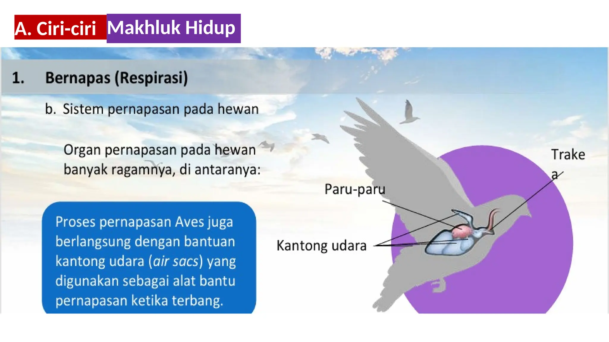 Bab 1. A. Ciri-ciri makhluk hidup kelas X SMK.ppt
