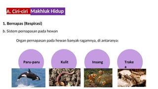 Bab 1. A. Ciri-ciri makhluk hidup kelas X SMK.ppt