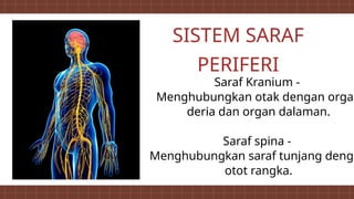 SAINS TINGKATAN 3 bab 1: RANGSANGAN DAN GERAK BALAS | PPTX