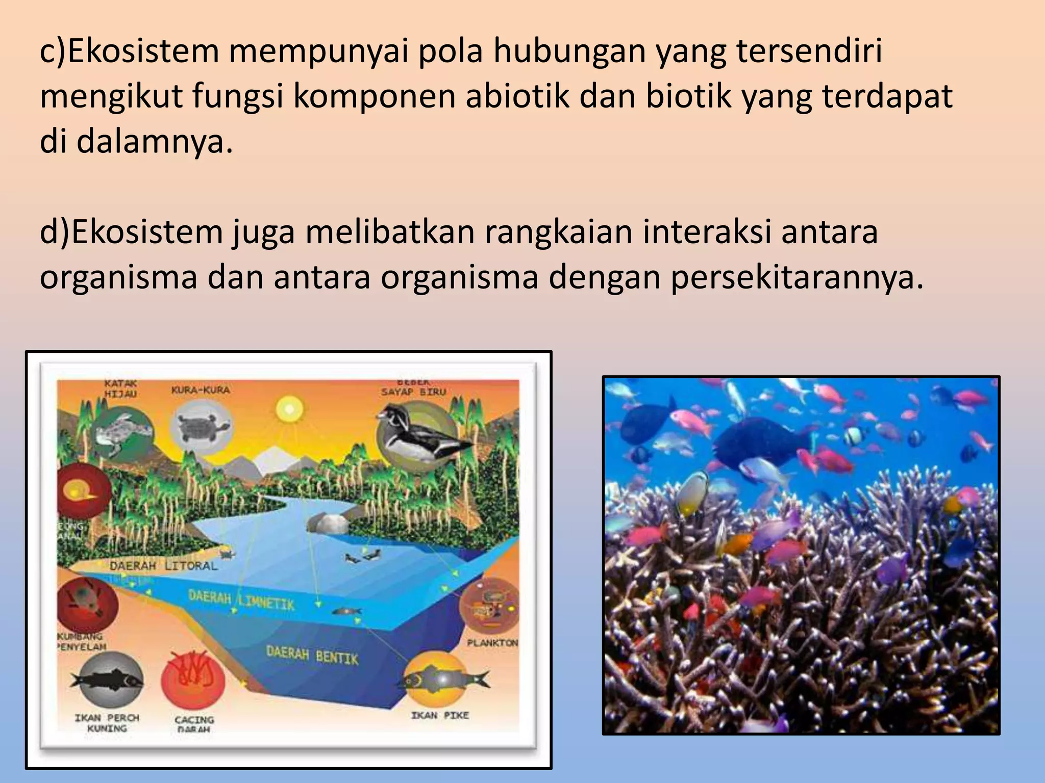 Bab 1 ekologi dan ekosistem (geografi stpm sem3) | PPTX