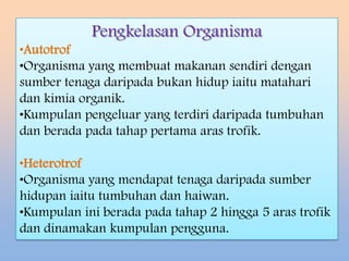 Bab 1 ekologi dan ekosistem (geografi stpm sem3) | PPTX