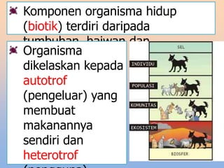 Bab 1 ekologi dan ekosistem (geografi stpm sem3) | PPTX