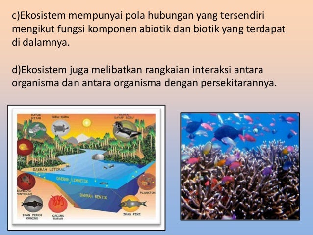 Bab 1 ekologi dan ekosistem (geografi stpm sem3)