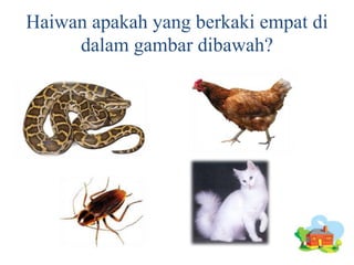 Bab 1 haiwan | PPTX