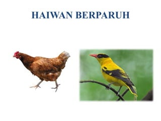 unit 3 haiwan | PPTX