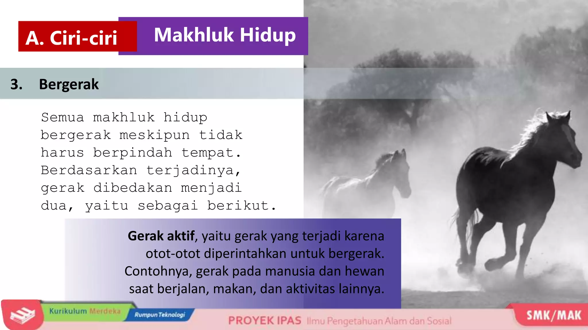 BAB 1 - Makhluk Hidup dan Lingkungannya.pptx