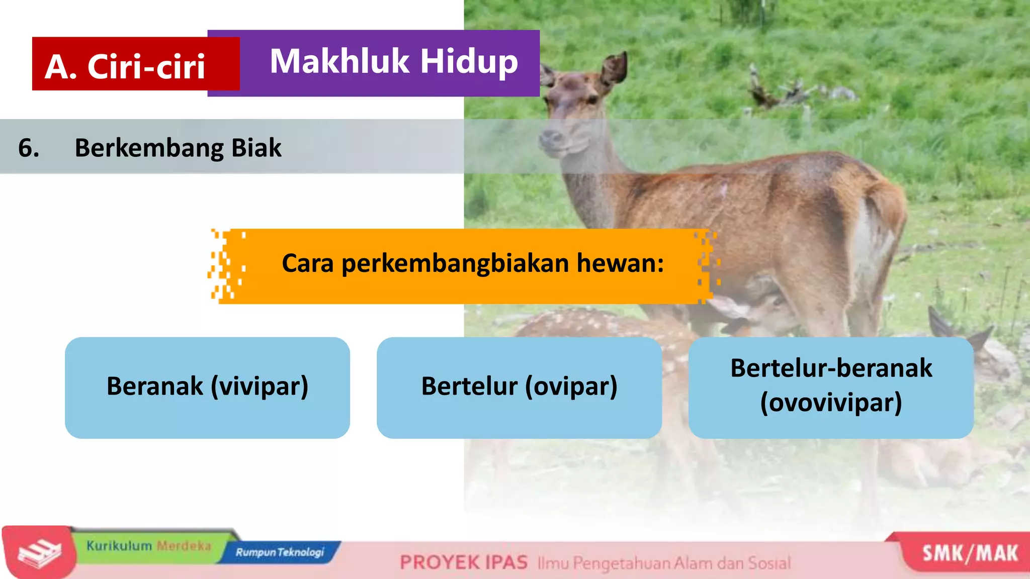BAB 1 - Makhluk Hidup dan Lingkungannya.pptx