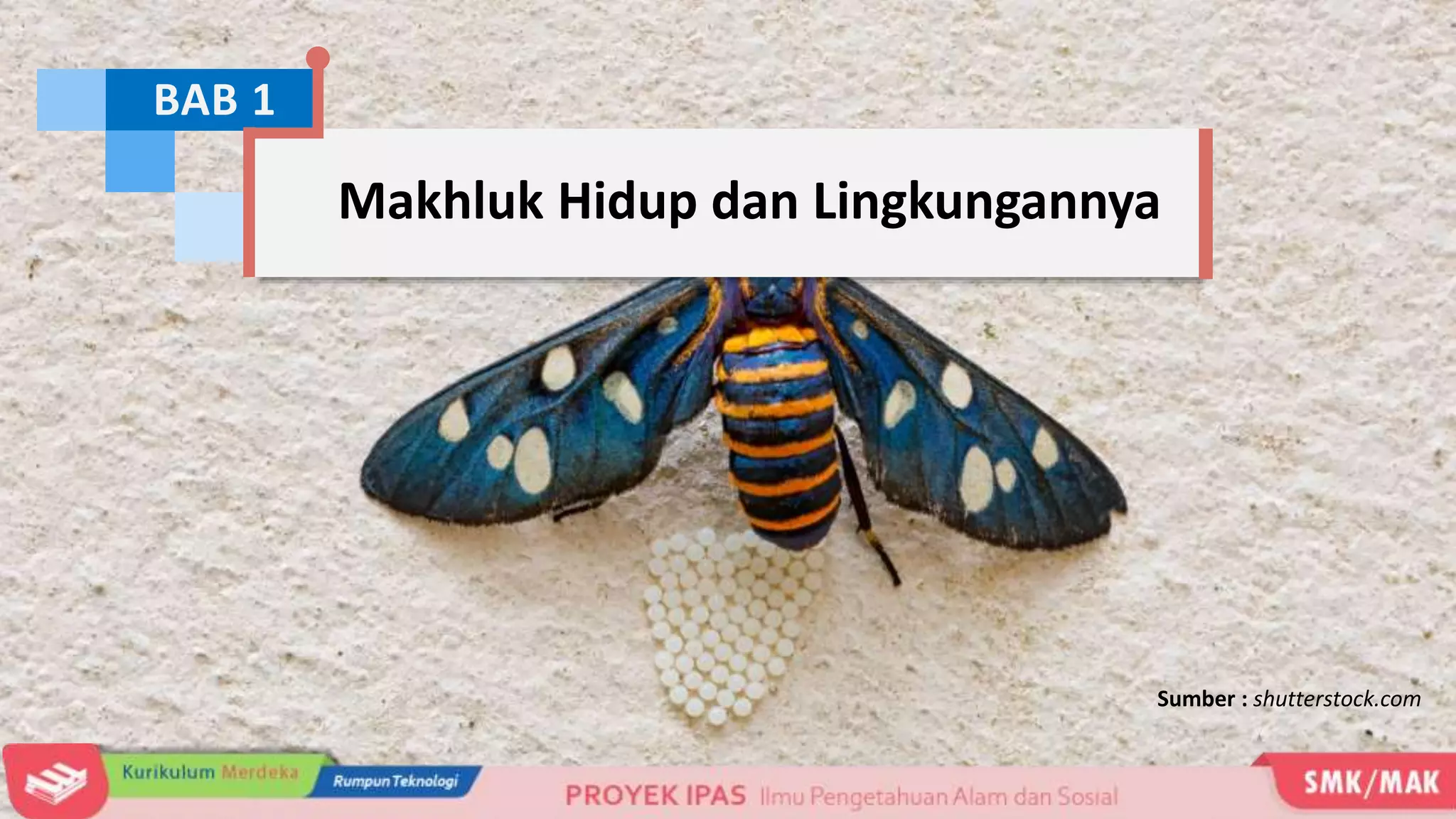 BAB 1 - Makhluk Hidup dan Lingkungannya.pptx
