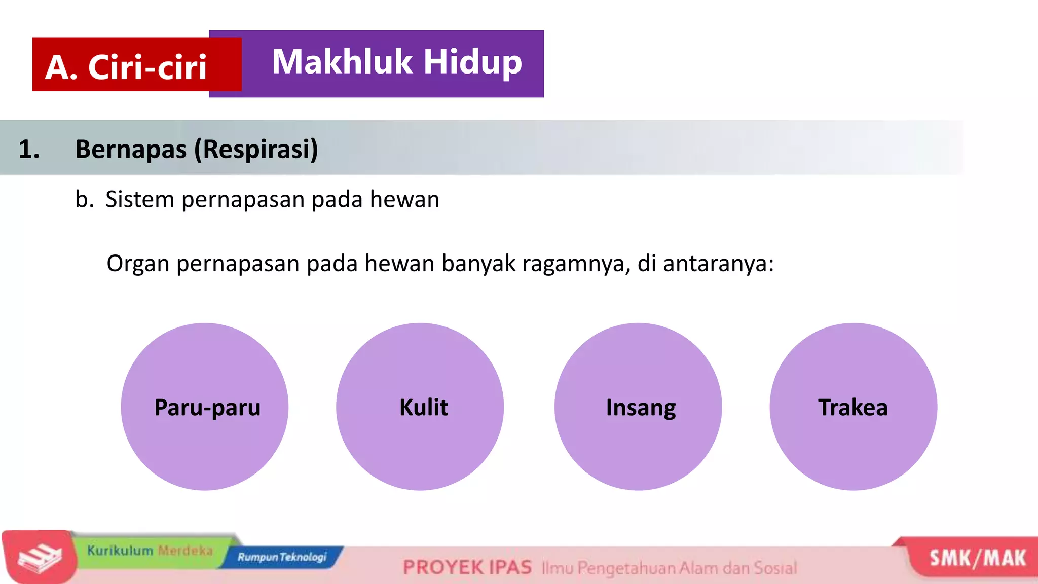 BAB 1 - Makhluk Hidup dan Lingkungannya.pptx
