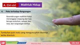 BAB 1 - Makhluk Hidup dan Lingkungannya.pptx