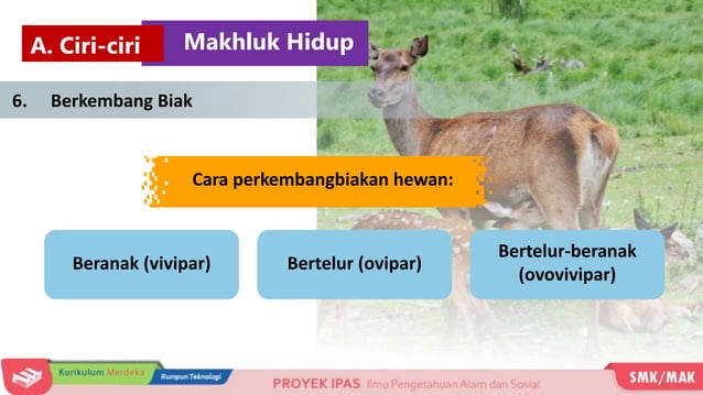 BAB 1 - Makhluk Hidup dan Lingkungannya.pptx